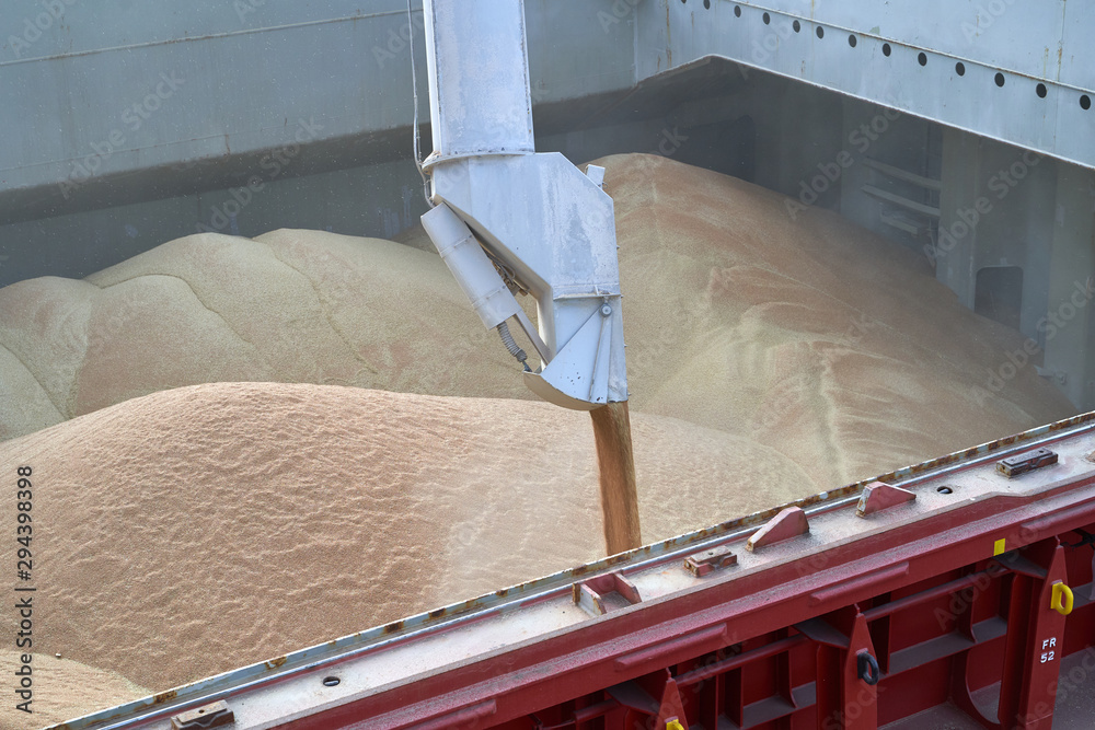 Grain loading in hold of bulk carrier ship with elevator crane closeup ...