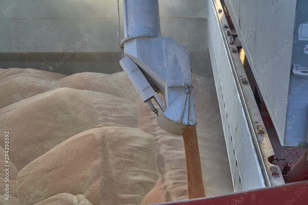 Grain loading in hold of bulk carrier ship with elevator crane closeup ...