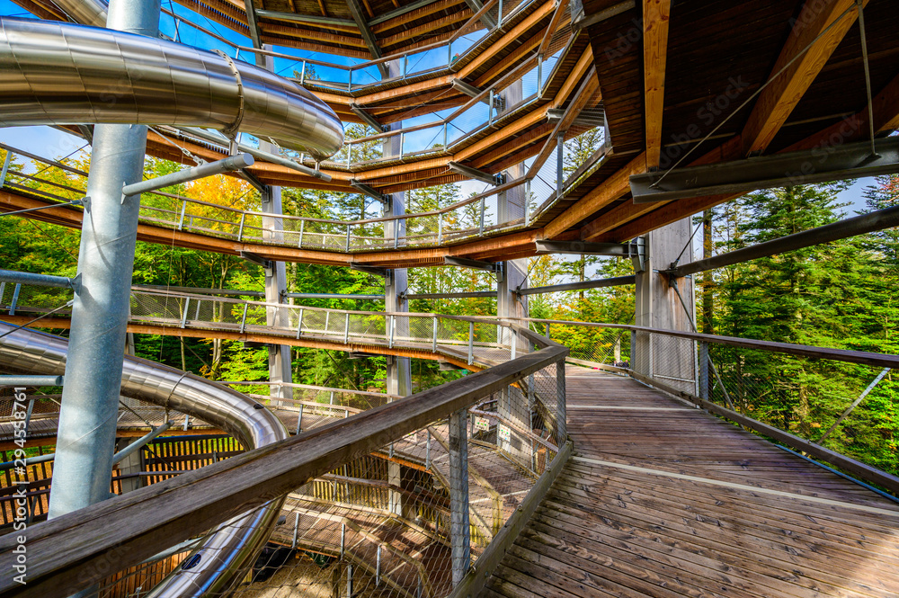 Treetop walk in Black Forest with 40m high Lookout tower with ...