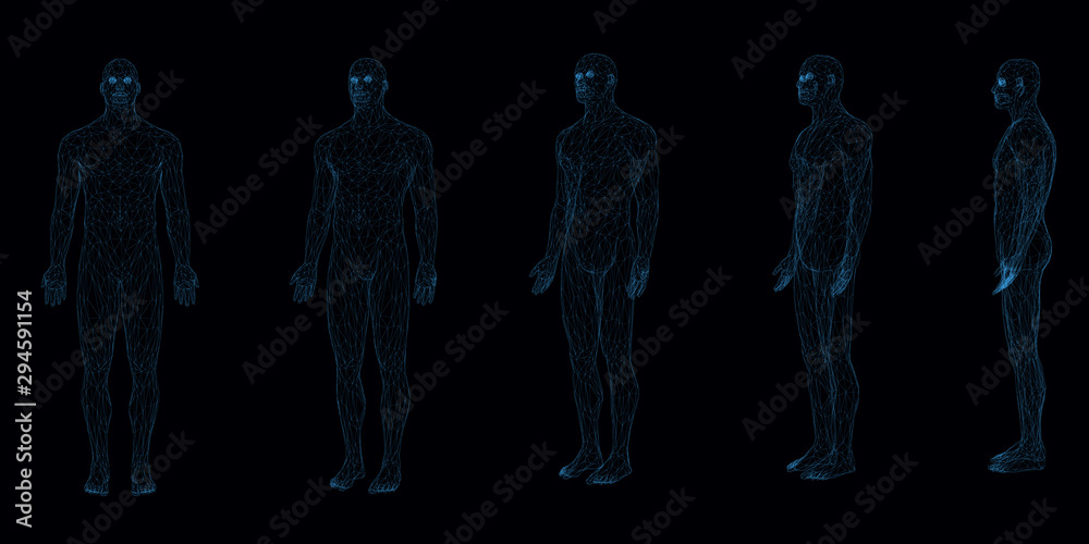 Set with wireframe of a human body turning sequentially. Front view ...