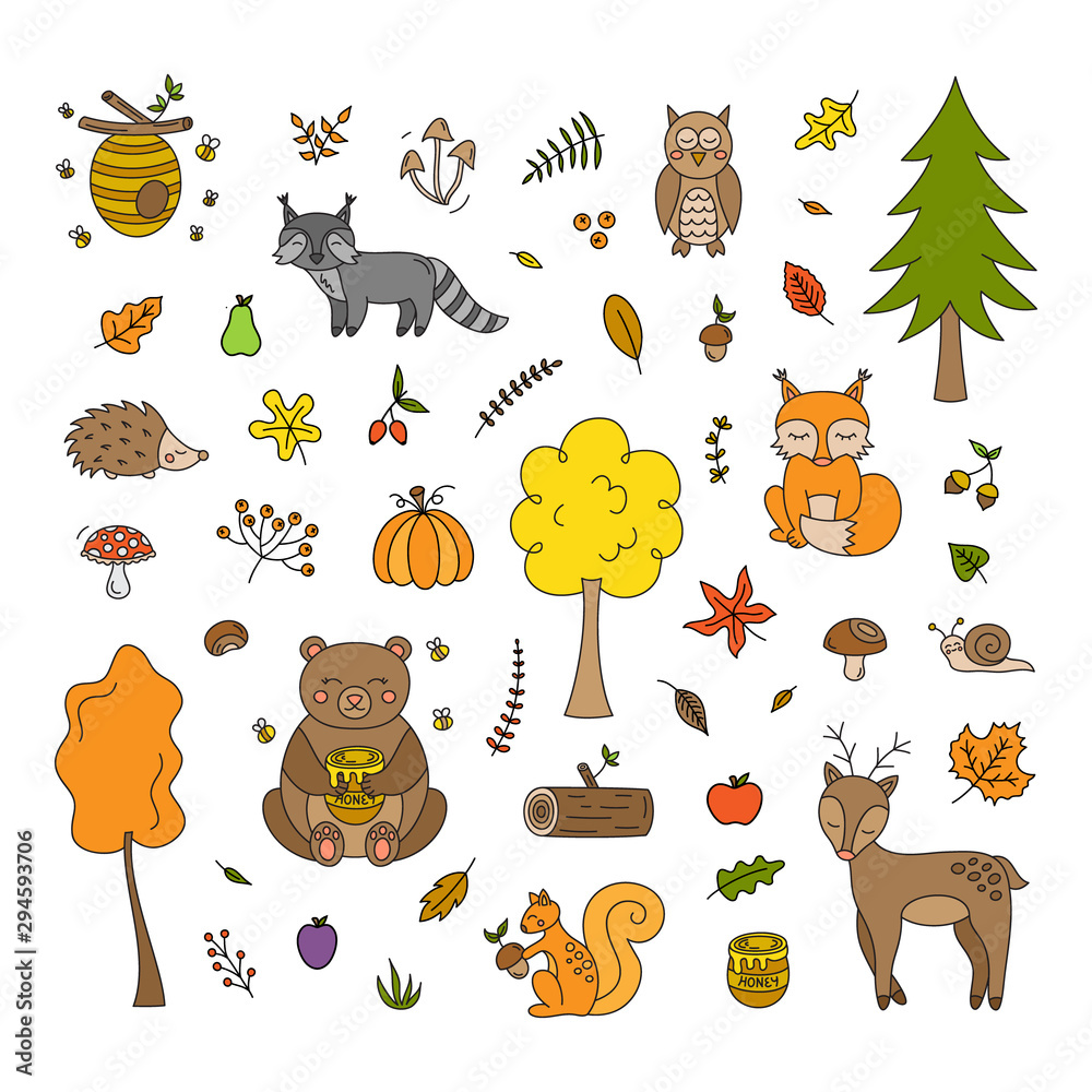 Autumn forest animals and plants vector collection. Hand drawn outlined ...