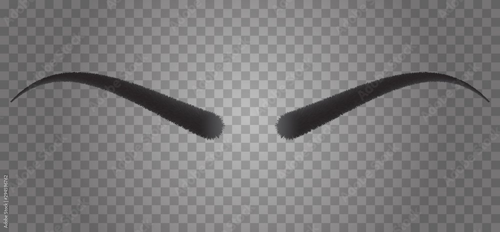 Realistic 3d human eyebrows form isolated on transparent background ...