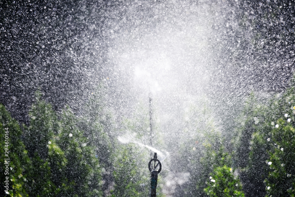silhouette of spraying water sprinkler background Stock Photo | Adobe Stock
