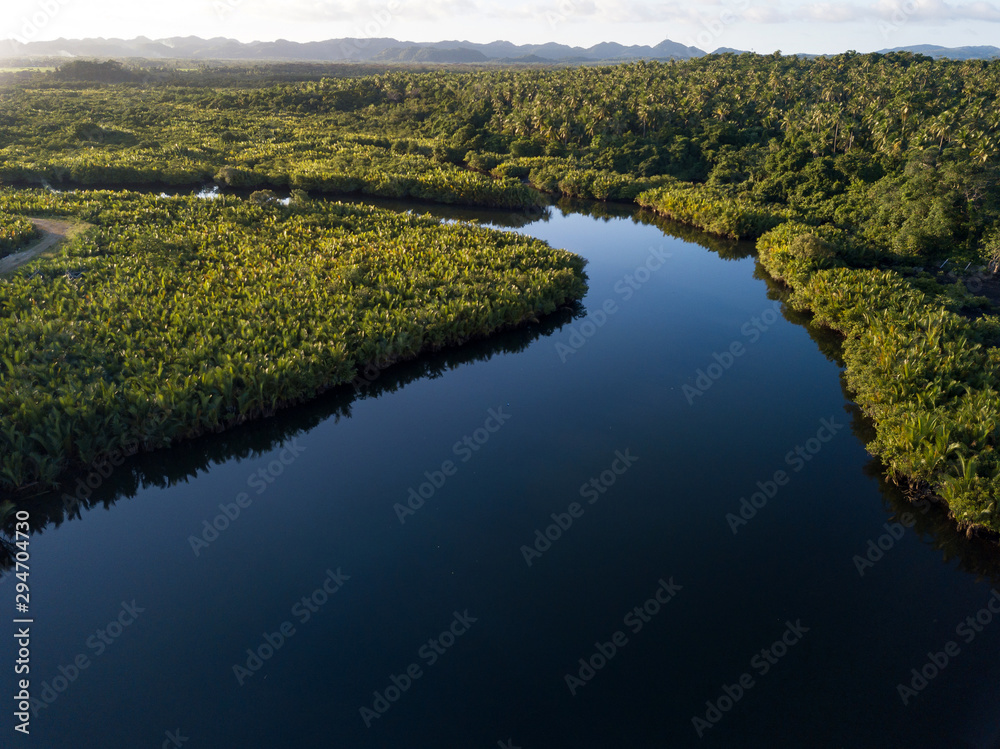 Mangroves swamp in Siargao Island, Philippines Stock Photo | Adobe Stock