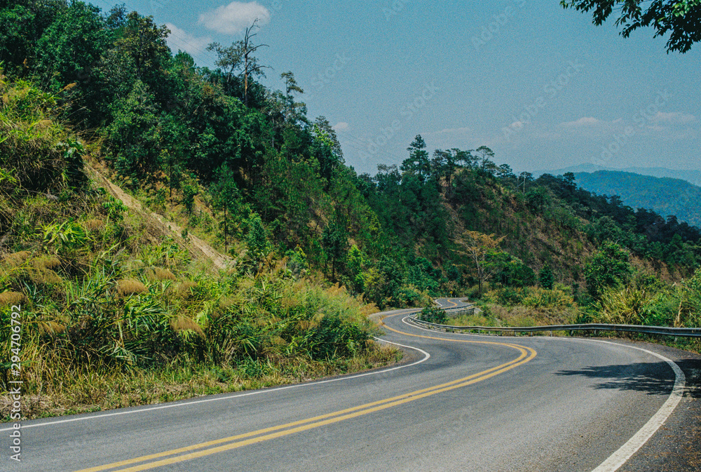 Jungle Road Stock Photo | Adobe Stock