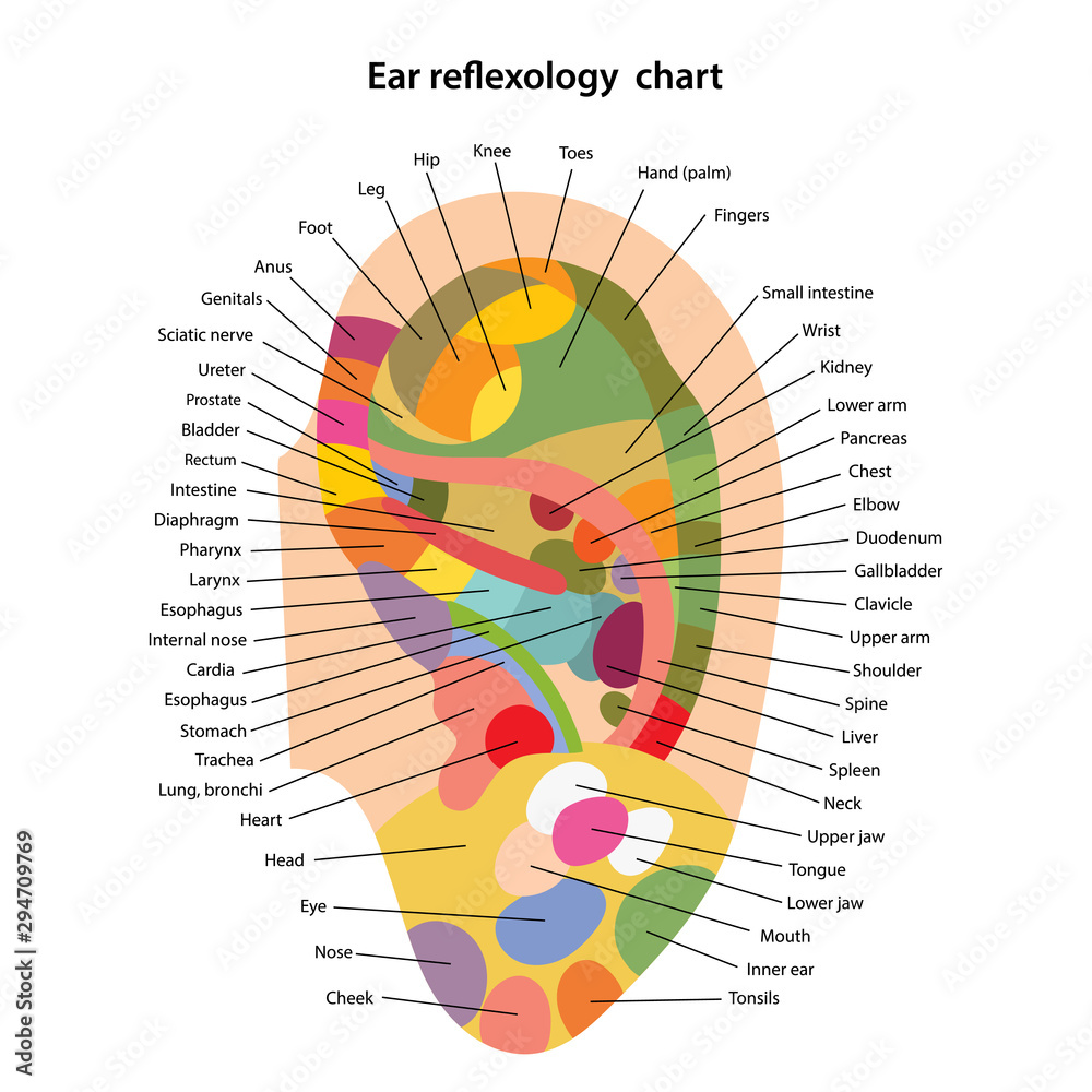 Ear Reflexology