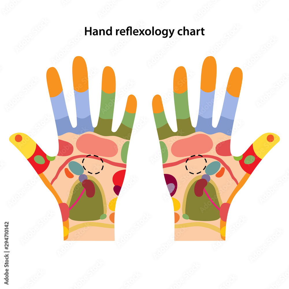 Hand reflexology chart. Acupuncture points on the hands. Vector ...