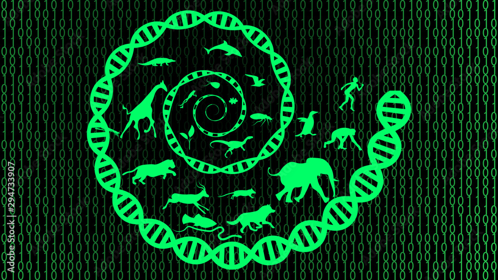 Evolution theory illustration vector design. Evolution of species. DNA ...