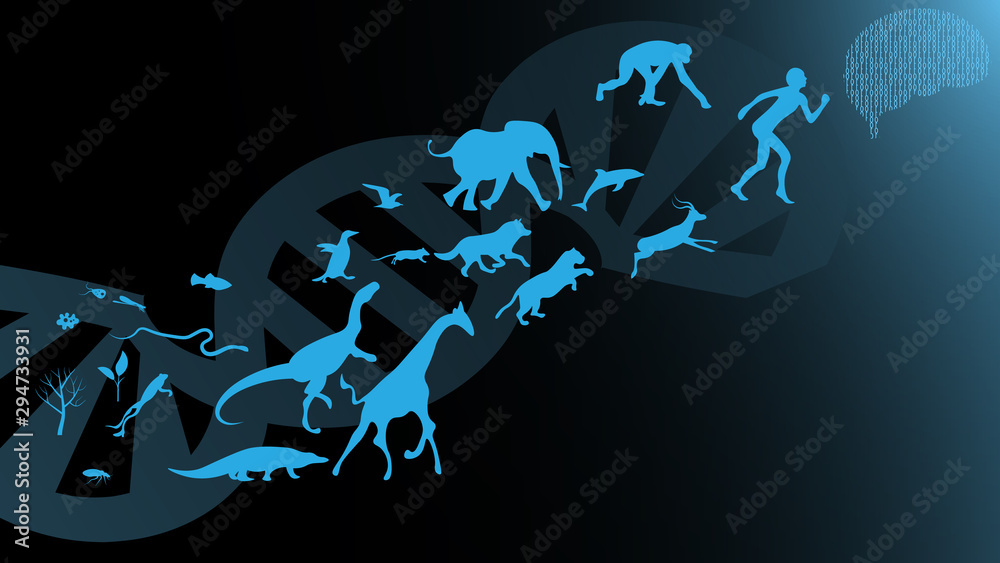 Evolution theory illustration vector design. Evolution of species. DNA ...
