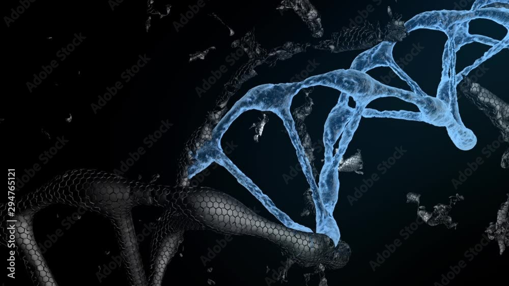 3D animation of blue DNA strand. Rupture of the black dna membrane ...