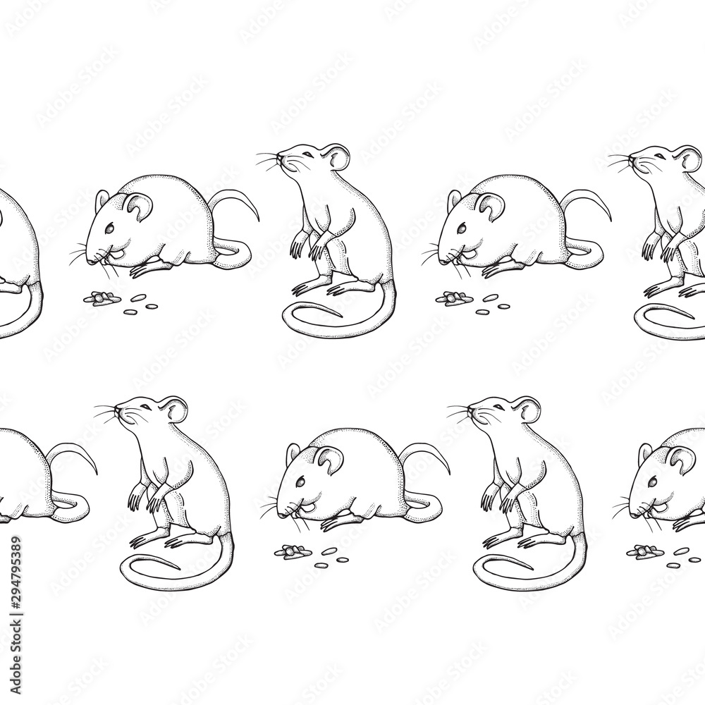 Mice or rats seamless border. Vector with mammal animal isolated on ...