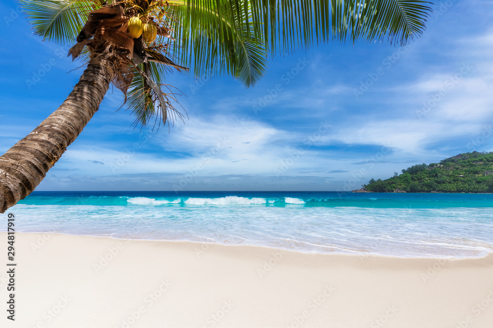 Tropical Beach Images