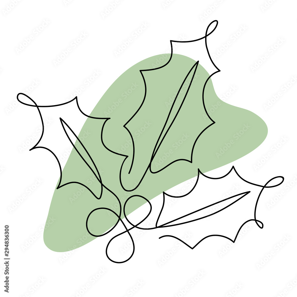 Holly Plant Drawing