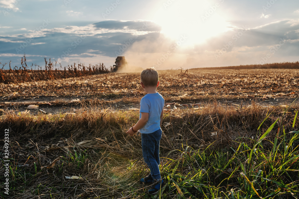 Little cute farmer boy standing on corn field and looking harvester. In ...