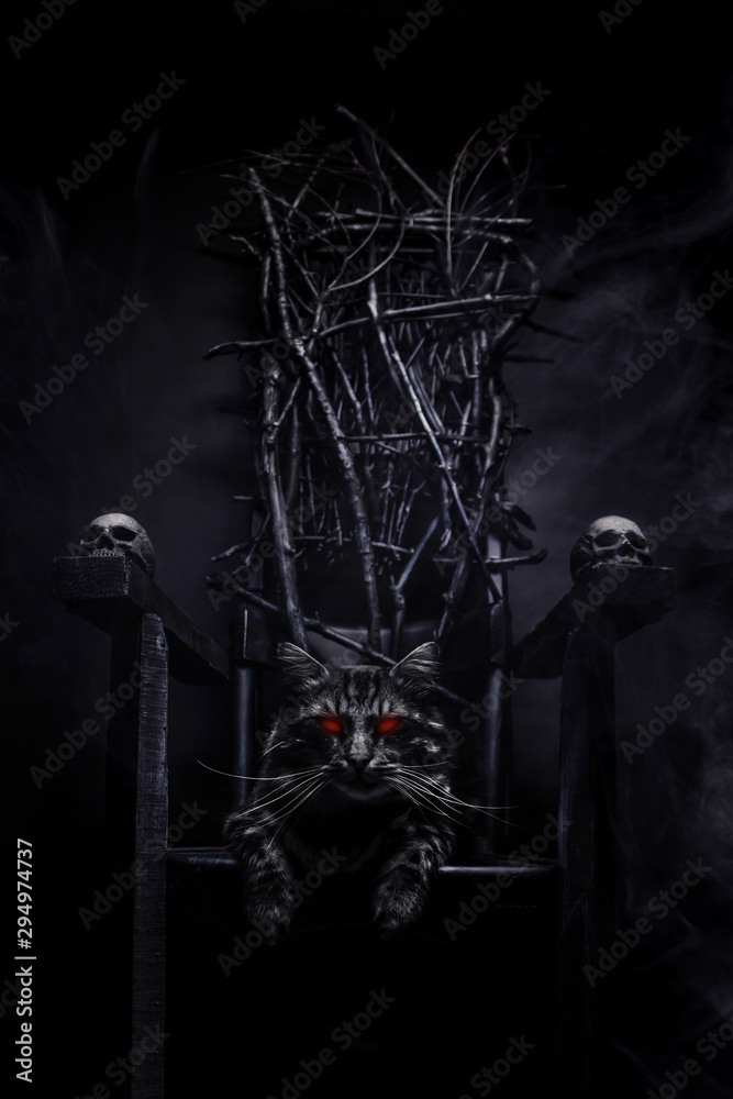 Evil cat on witch throne made of branches. Stock Photo | Adobe Stock