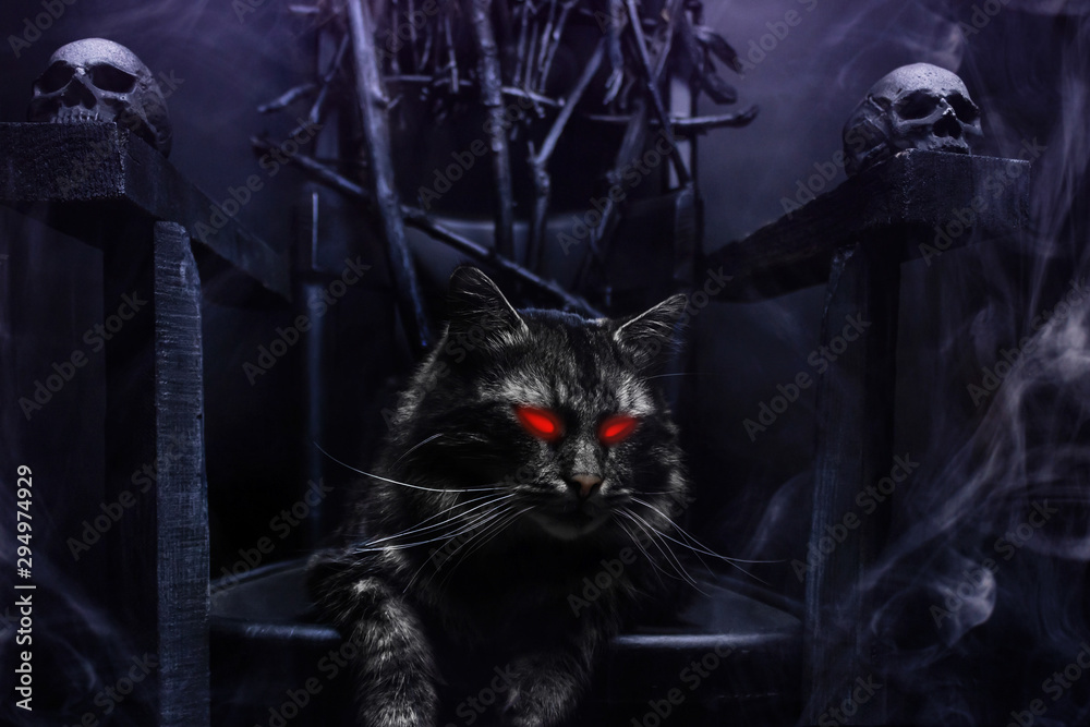 Horror possessed evil cat on witch throne made of branches. Stock Photo ...