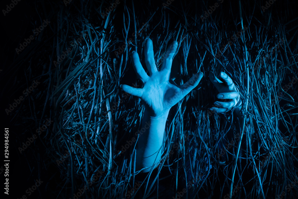 Scary hands reaching out from woods. Halloween concept. Stock Photo ...