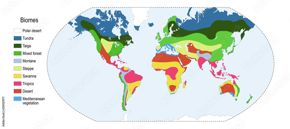 Biomes. world map Stock Vector | Adobe Stock
