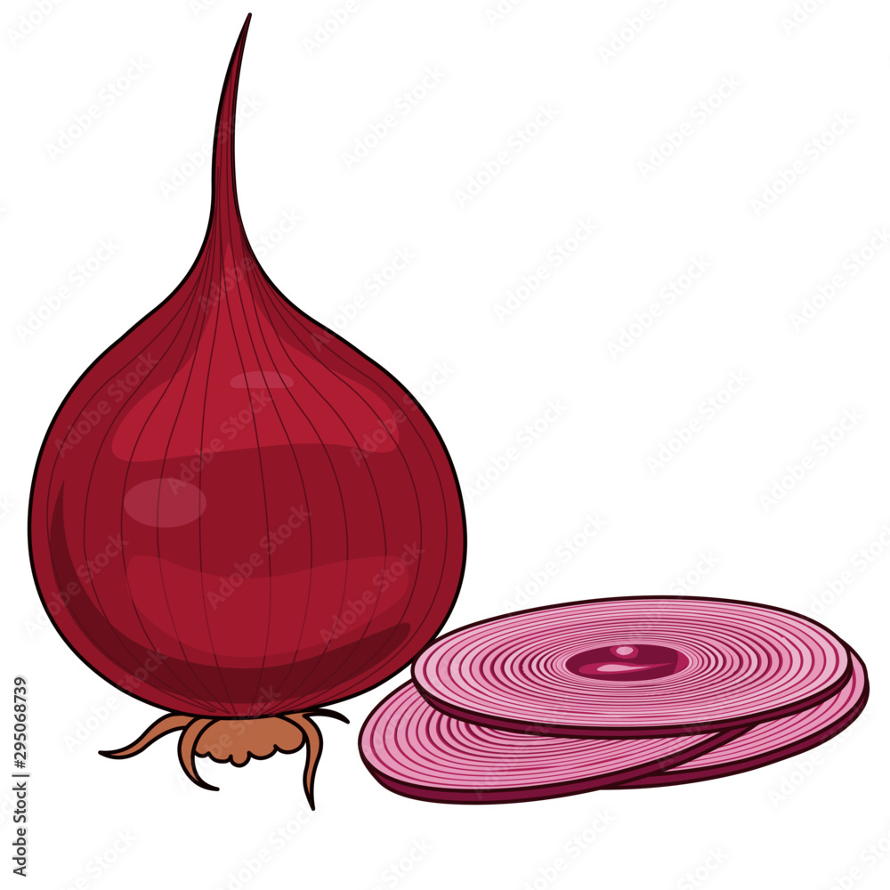 Cartoon Onion Slice