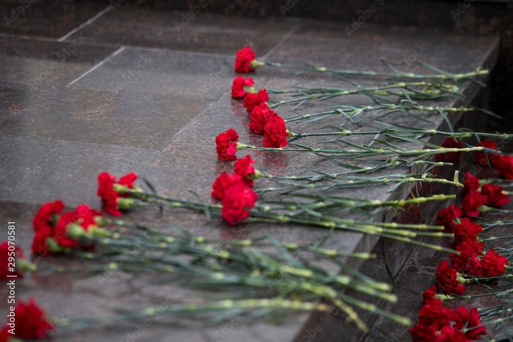 Red roses and carnation symbol of mourning - laying flowers to the ...