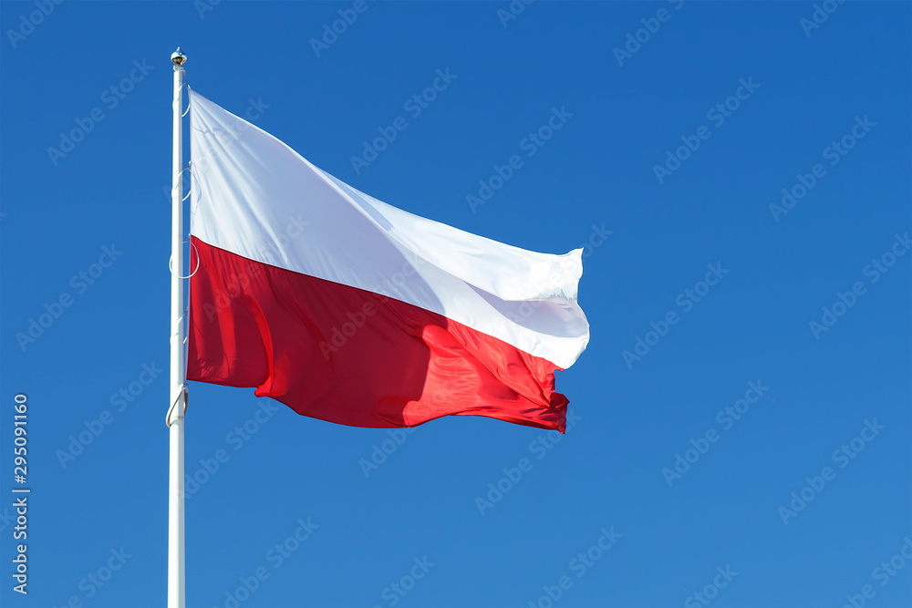 National flag of Poland waving on a clear blue sky background Stock ...
