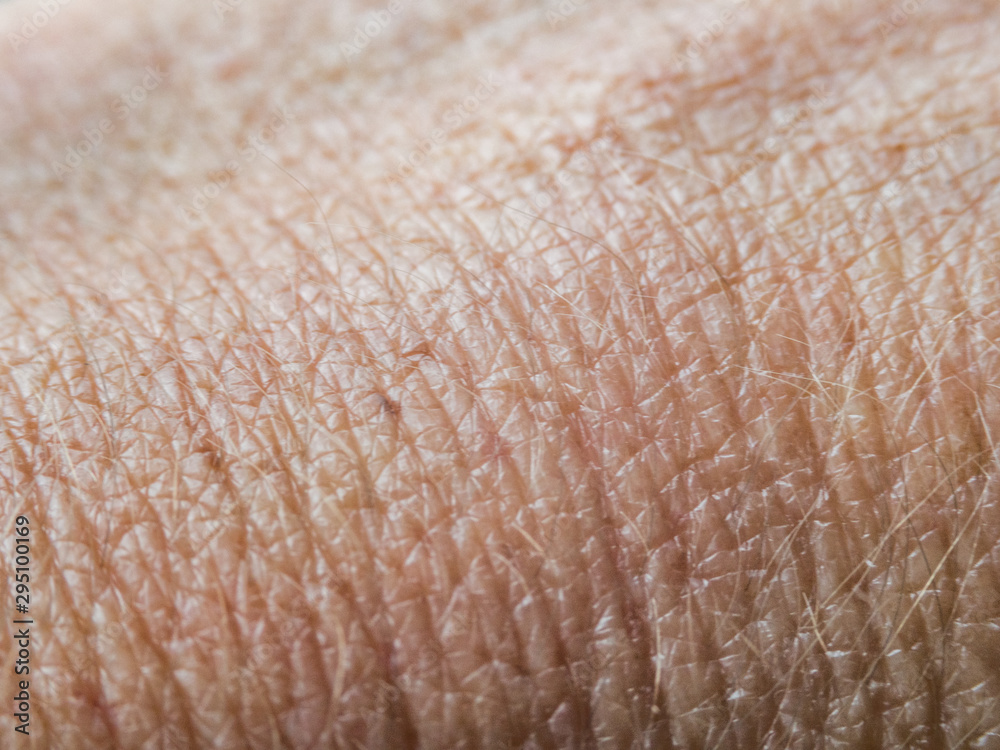 Skin macro texture Stock Photo | Adobe Stock