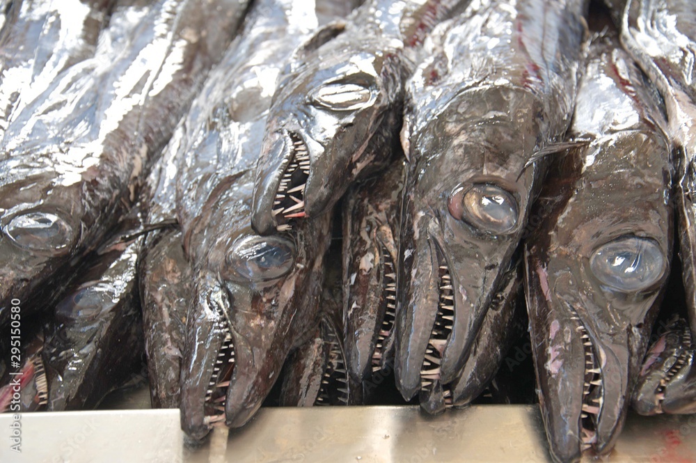 espada, typical fish of the island of Madeira Stock-Foto | Adobe Stock