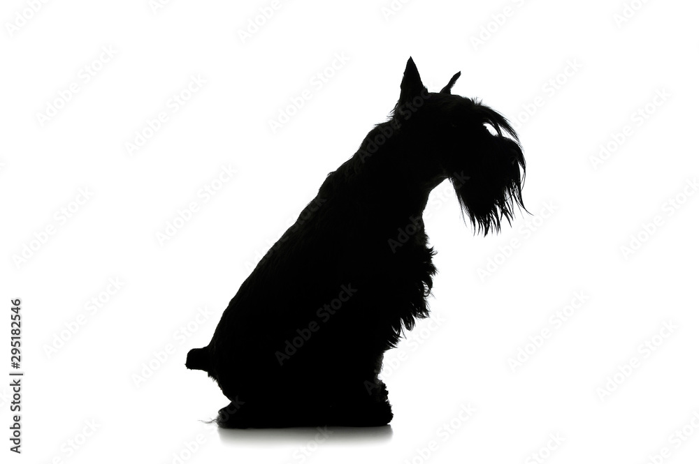 Scottie Dog Sitting Silhouette