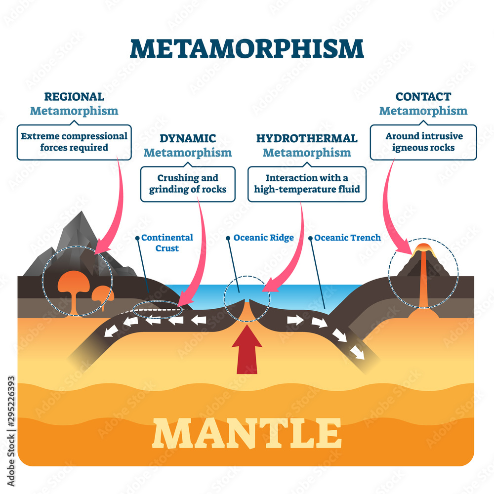Metamorphism vector illustration. Labeled mineral geologic structure ...