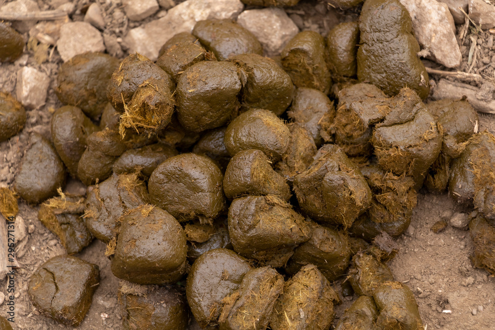 Horse shit manure pile on the organic farm. Natural background background with copy space Stock ...