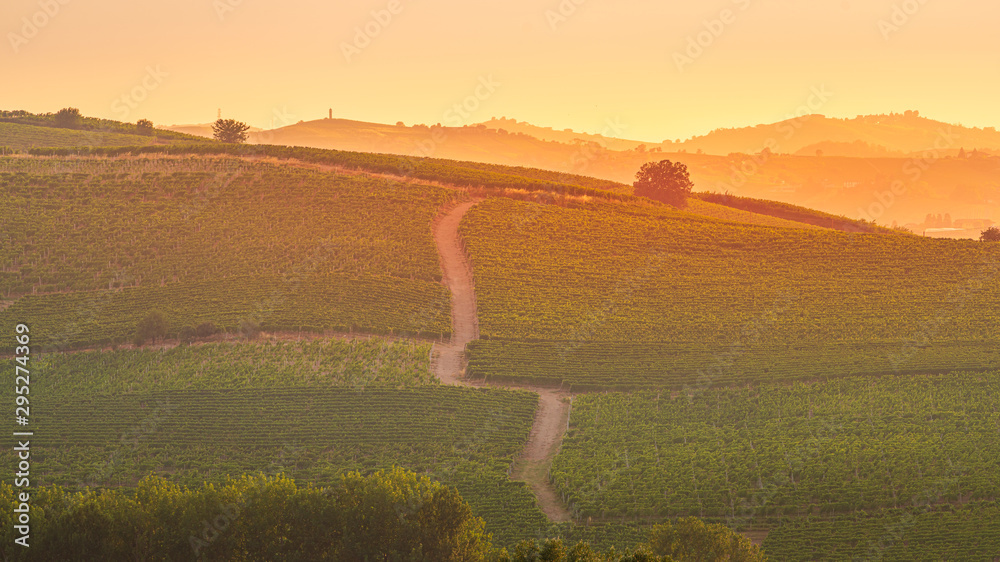 Foto de Sunset in the Italian vineyards with the hills and curved road ...