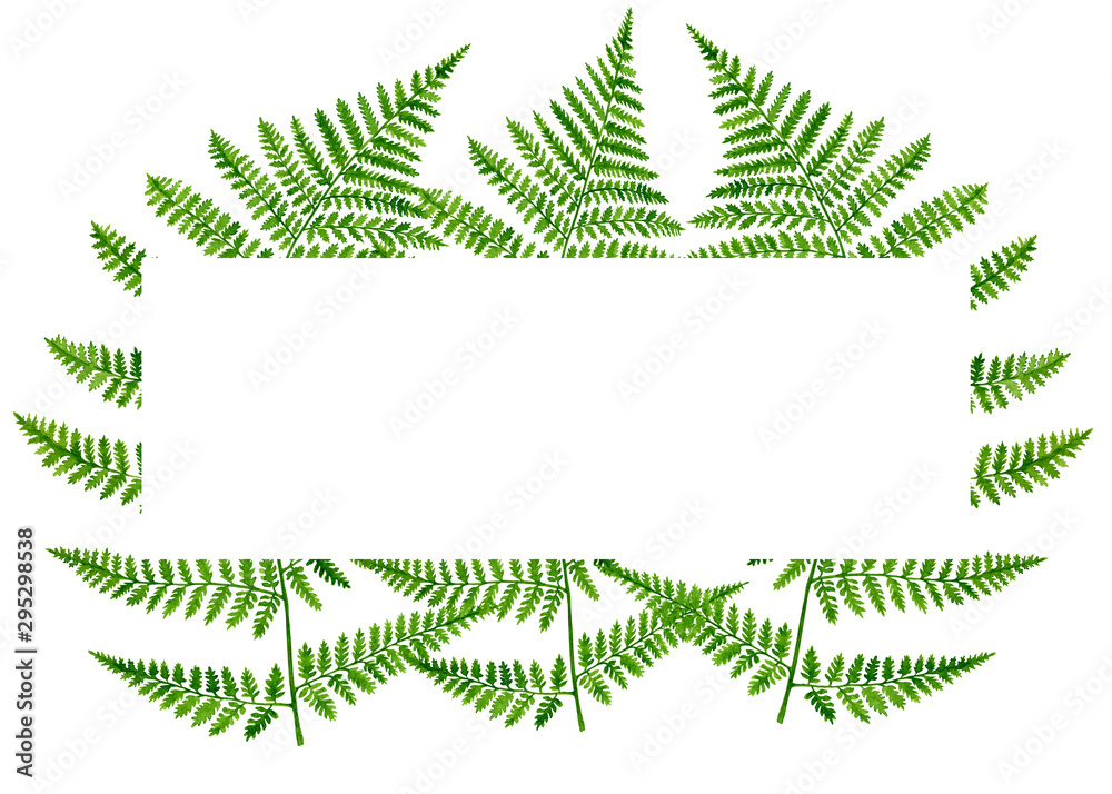 Watercolor fern leaves rectangular frame. Hand drawn forest plants ...