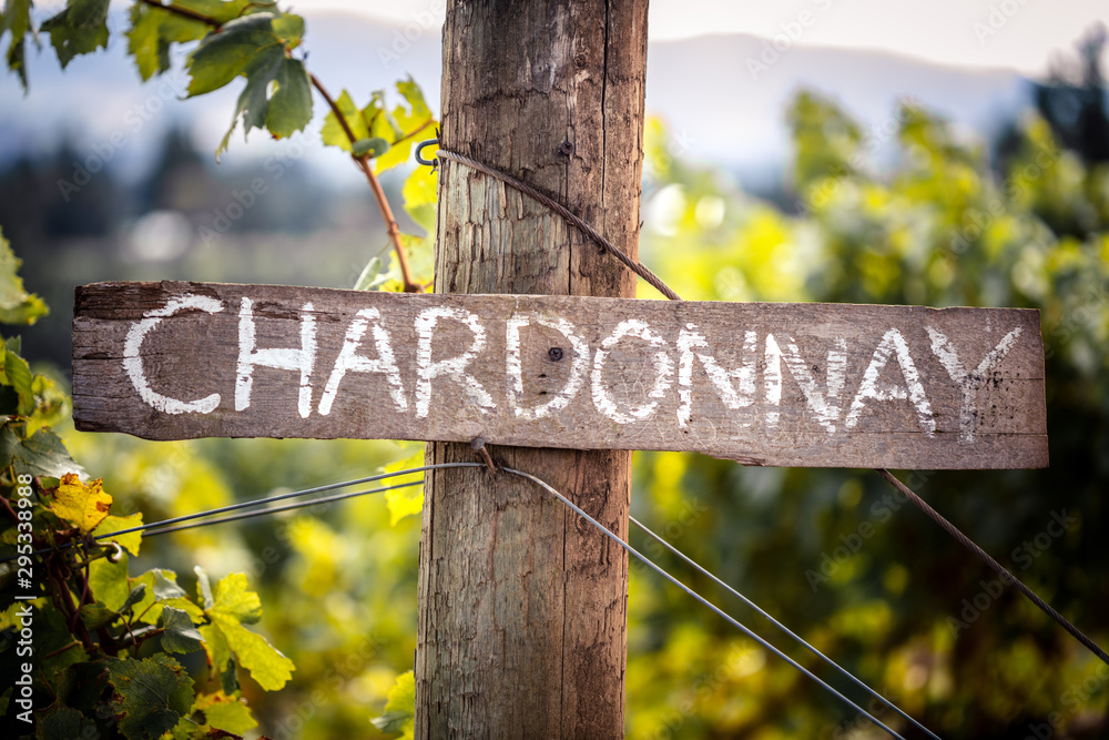 Chardonnay wooden sign Stock Photo | Adobe Stock