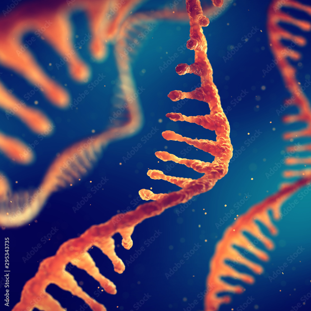 Single strand ribonucleic acid, RNA and molecular biology research ...