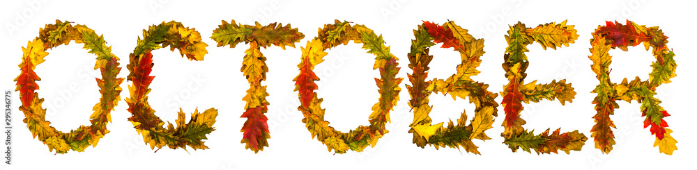 October. Text made by autumn leaves. English alphabet. Oak foxes. Font ...