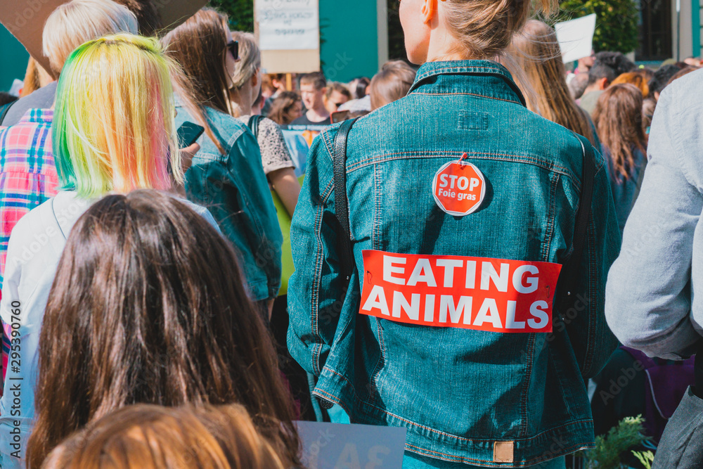 Animal rights activist in crowd. Stop foie gras. Stop eating animal ...