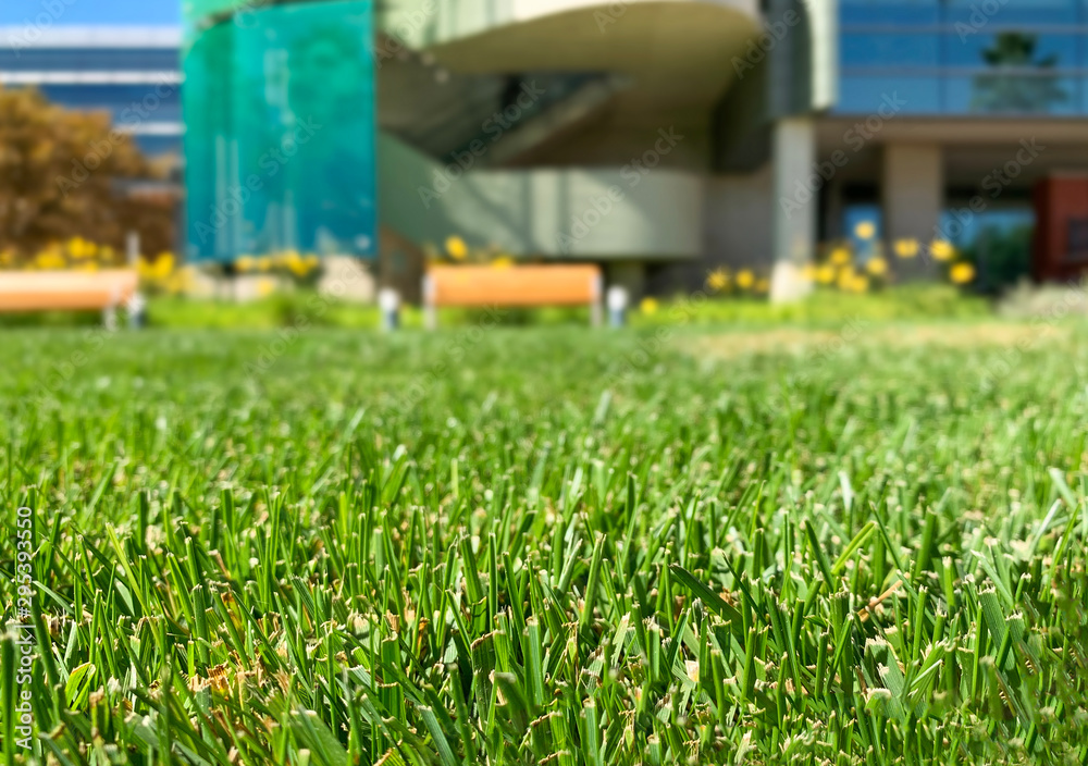 grass background with building Stock Photo | Adobe Stock