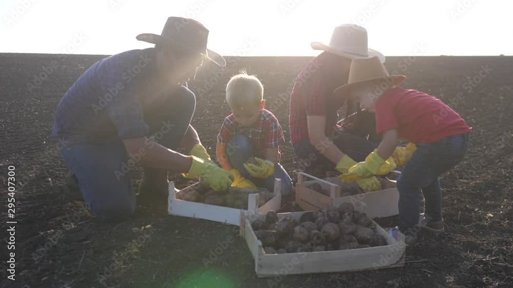 Vidéo Stock teamwork happy family red neck farmers eco farming ...