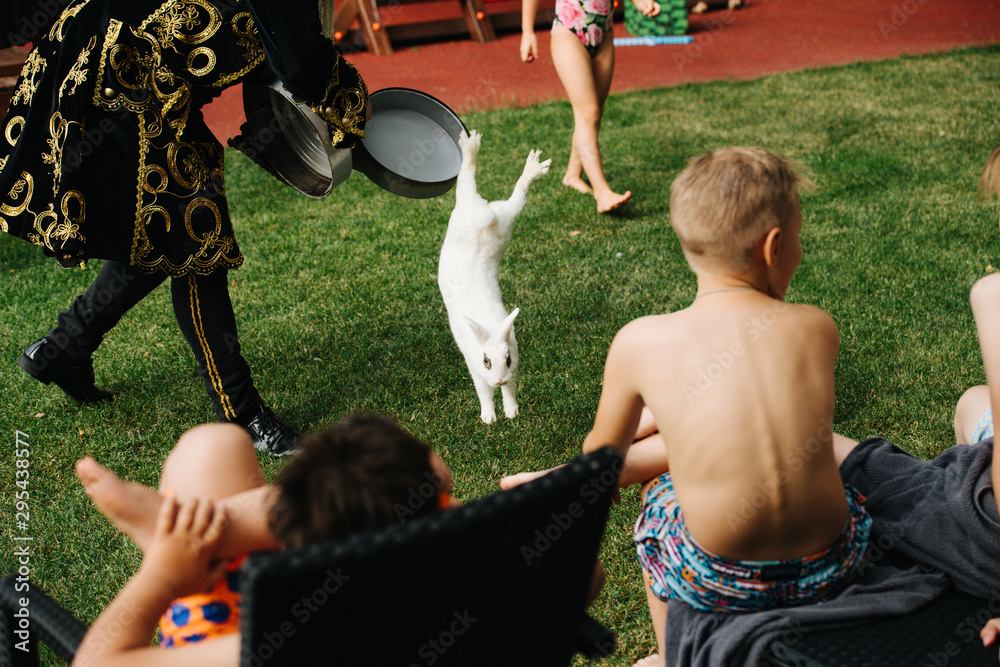 Rabbit jumpimg froma circular tin box of magician to the thrill of an ...