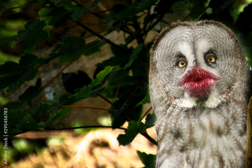 funny animal with kissing lips cards for a thank you, birthday ...