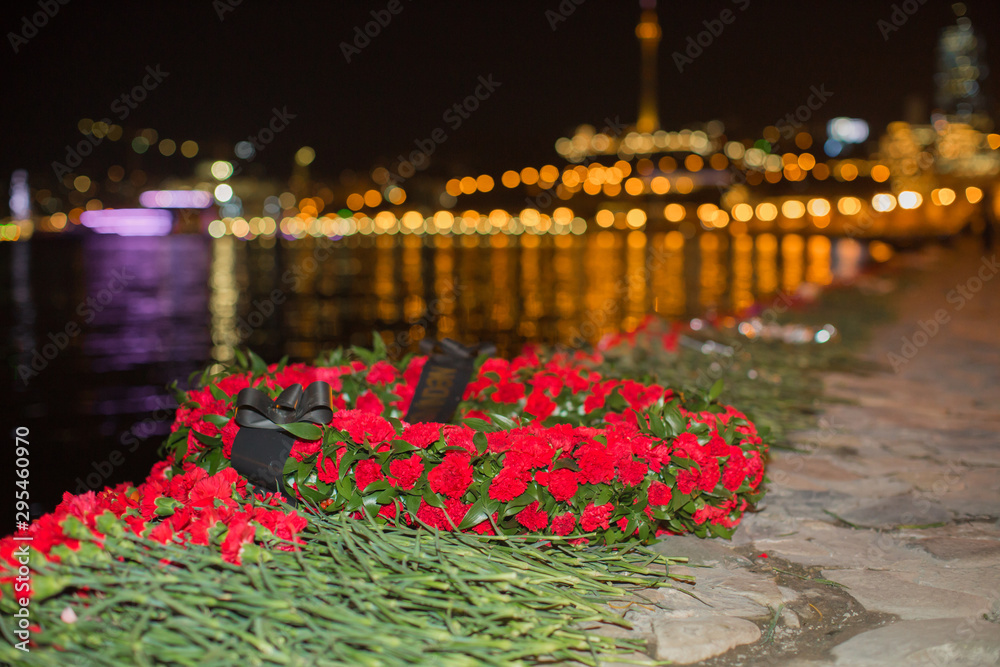 The Carnation are laid out on the beach. Carnations in the Caspian are ...