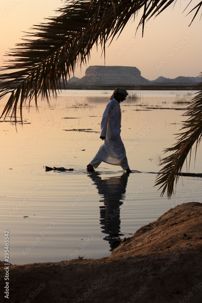 Arabic Man walking on the trunk of a fallen palm tree at the Siwa Oasis ...