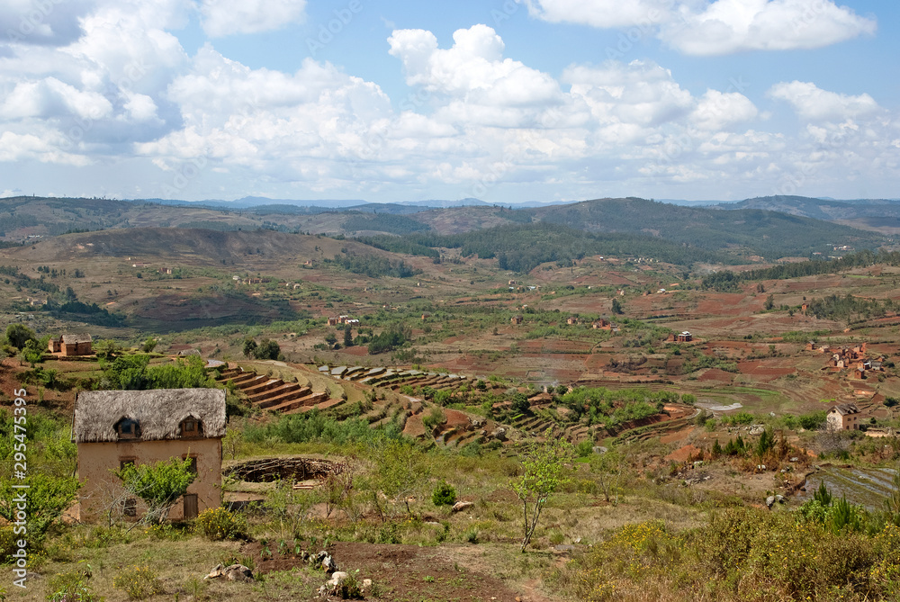 culture , culture du riz, risiére, région Antsirabe, Madagascar Stock ...
