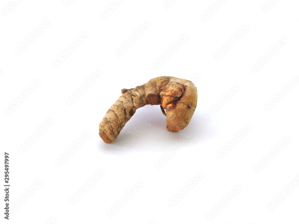 Curcuma heyneana known as Temu giring in Indonesia isolated on white ...