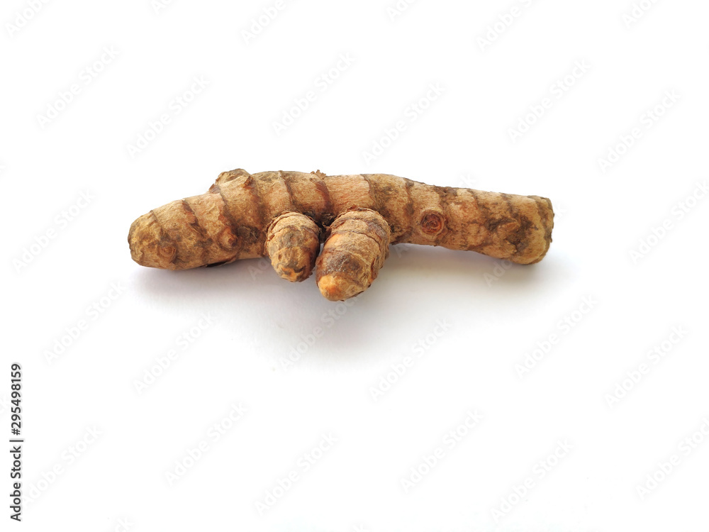 Curcuma heyneana known as Temu giring in Indonesia isolated on white ...