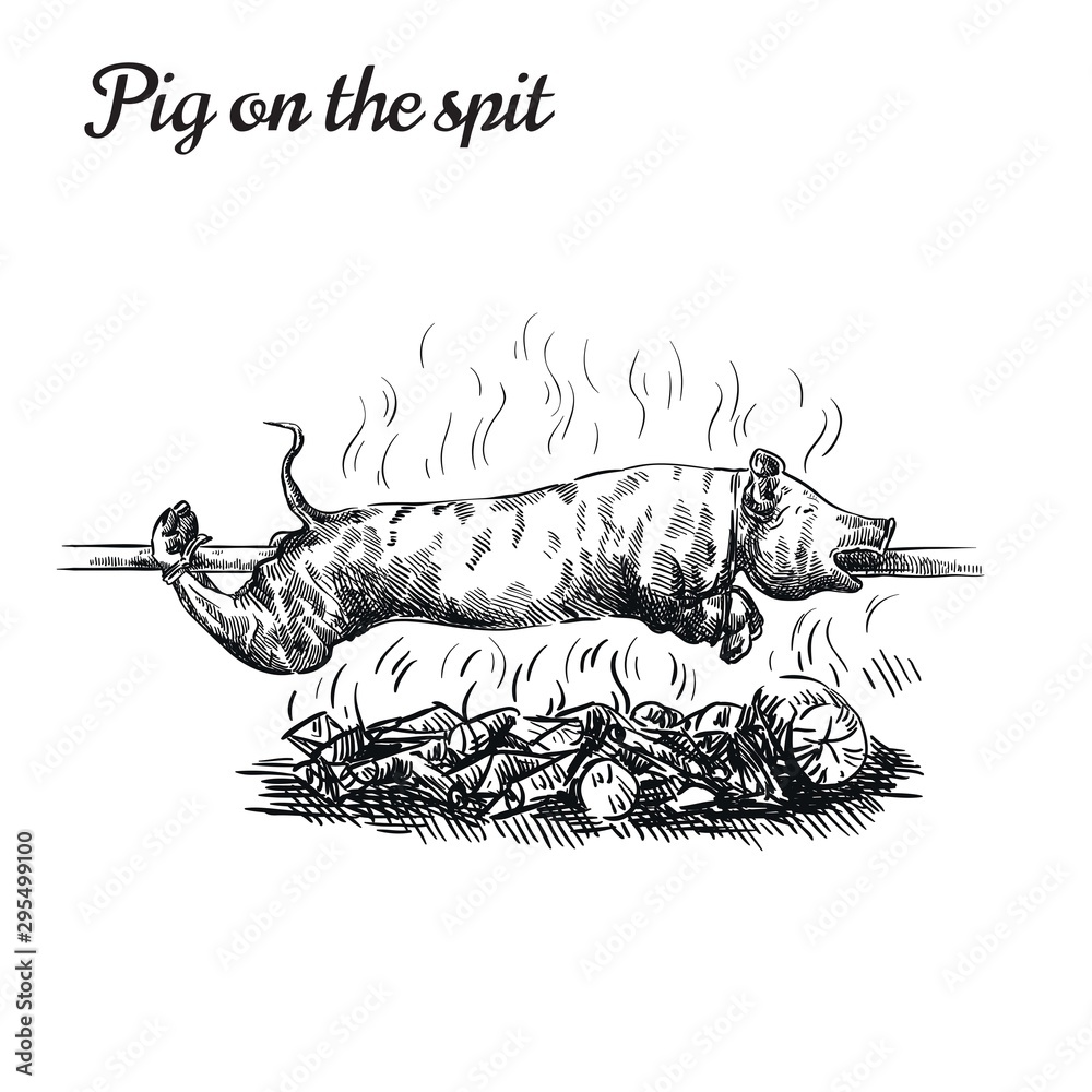 the pig is cooked on coals and rotates on a skewer. vector sketch on a ...