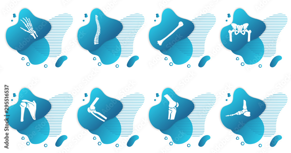 Orthopedic anatomy bone set icon. Abstract background with spine ...