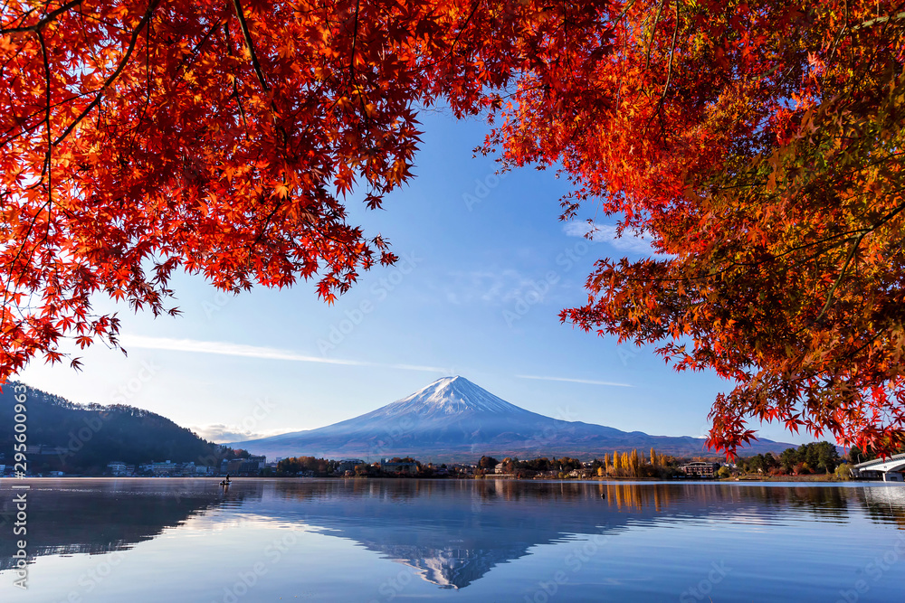 Fuji Mountain in autumn with colorful maple leaves at Lake Kawaguchi ...