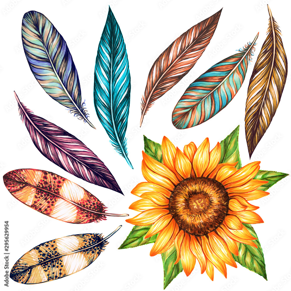 Set of bird feathers and sunflower isolated on white. Watercolor and ...