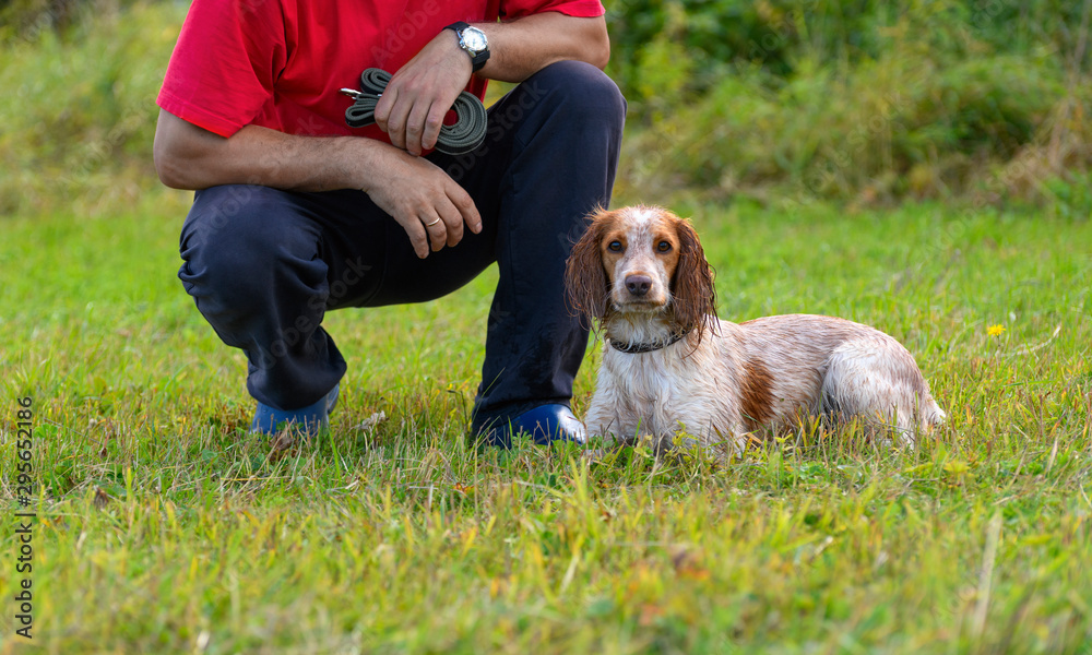 Male Dog Squats